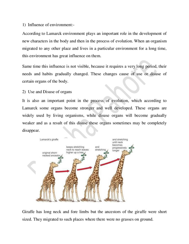 Evolution and theories of evolution | PDF