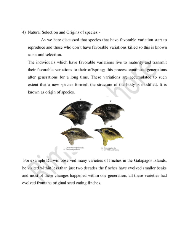 Evolution and theories of evolution | PDF