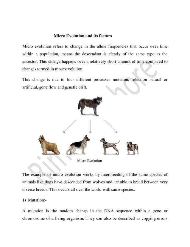 Evolution and theories of evolution | PDF