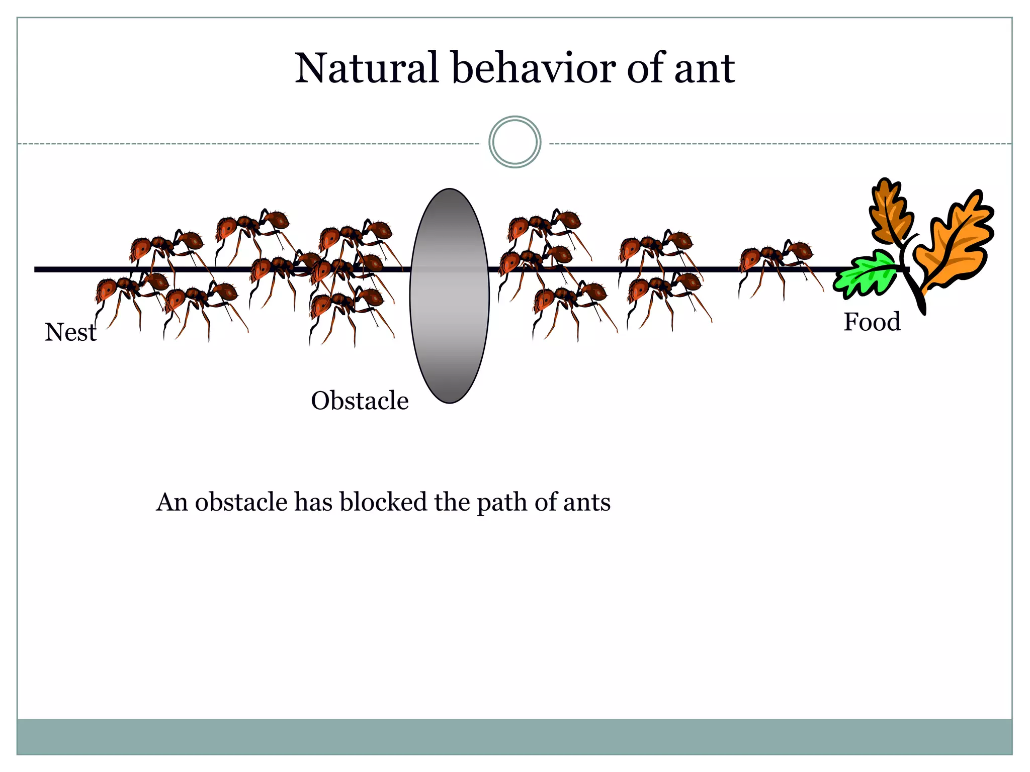 Evolutionary Algorithms And Their Applications In Civil Engineering 1 Ppt