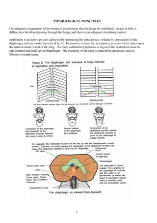Evolutionary development and anatomy of the lungs | PDF