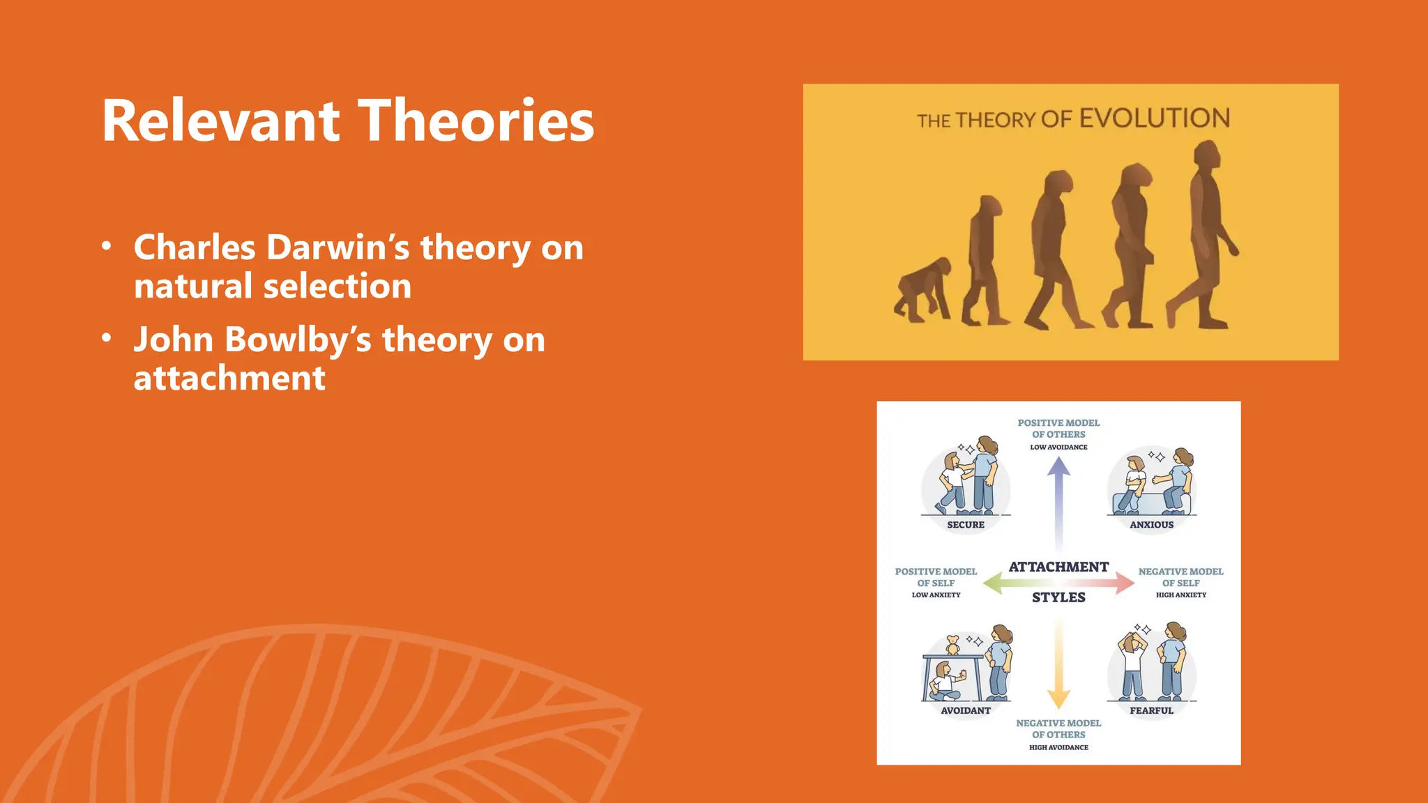 The Evolutionary perspective and other details | PPTX