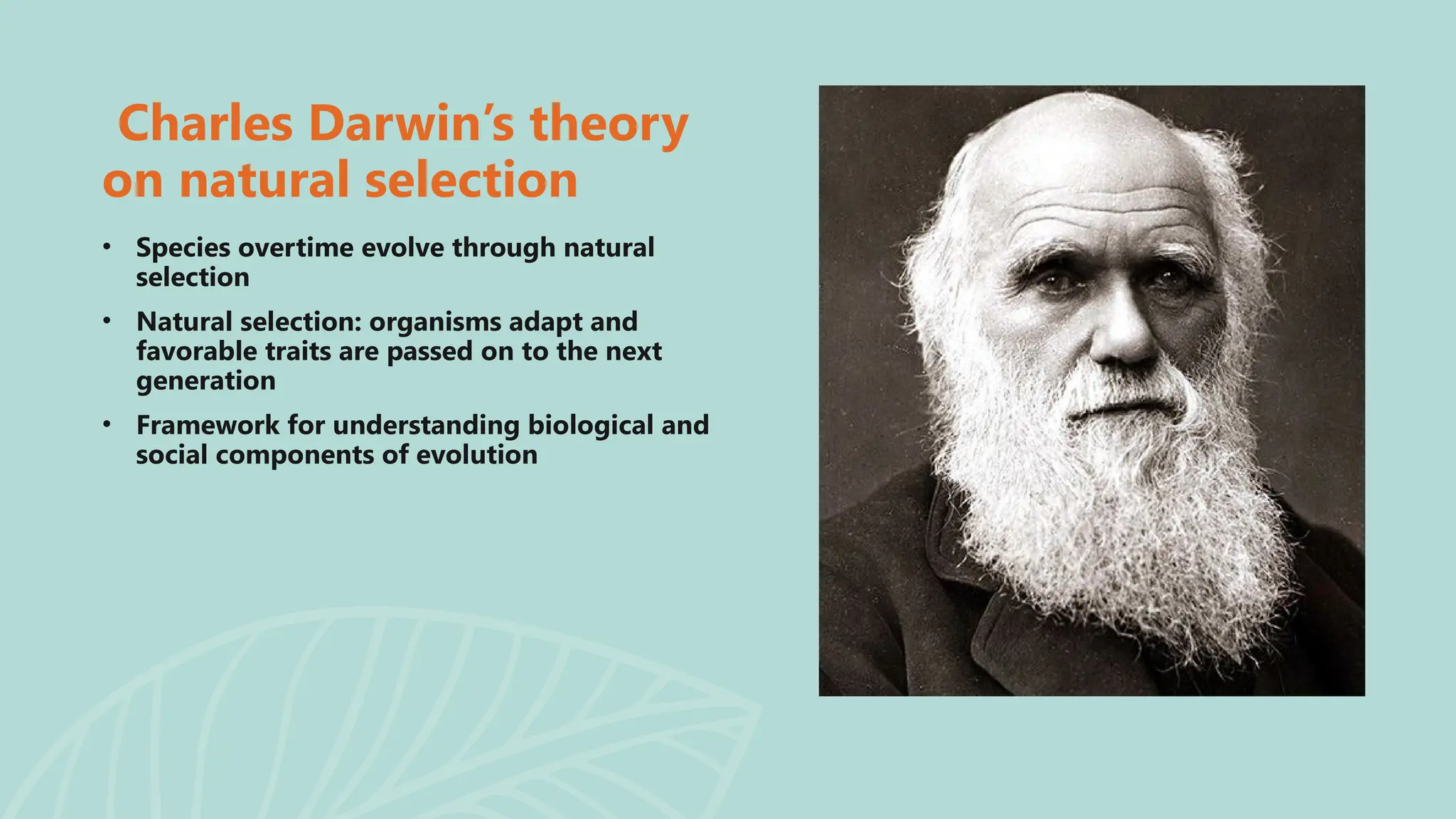 The Evolutionary perspective and other details | PPTX