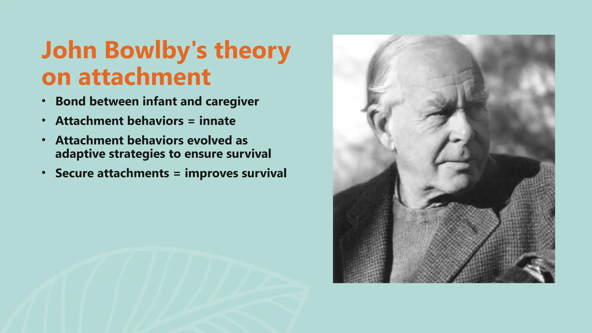 The Evolutionary perspective and other details | PPTX