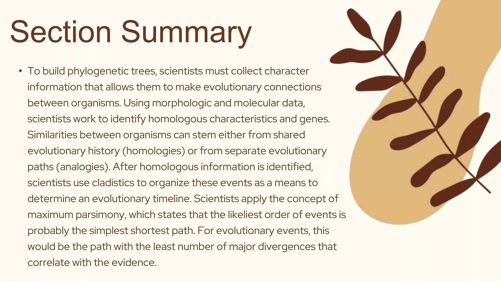 Evolutionary-Relationships-of-Organism-2.pptx