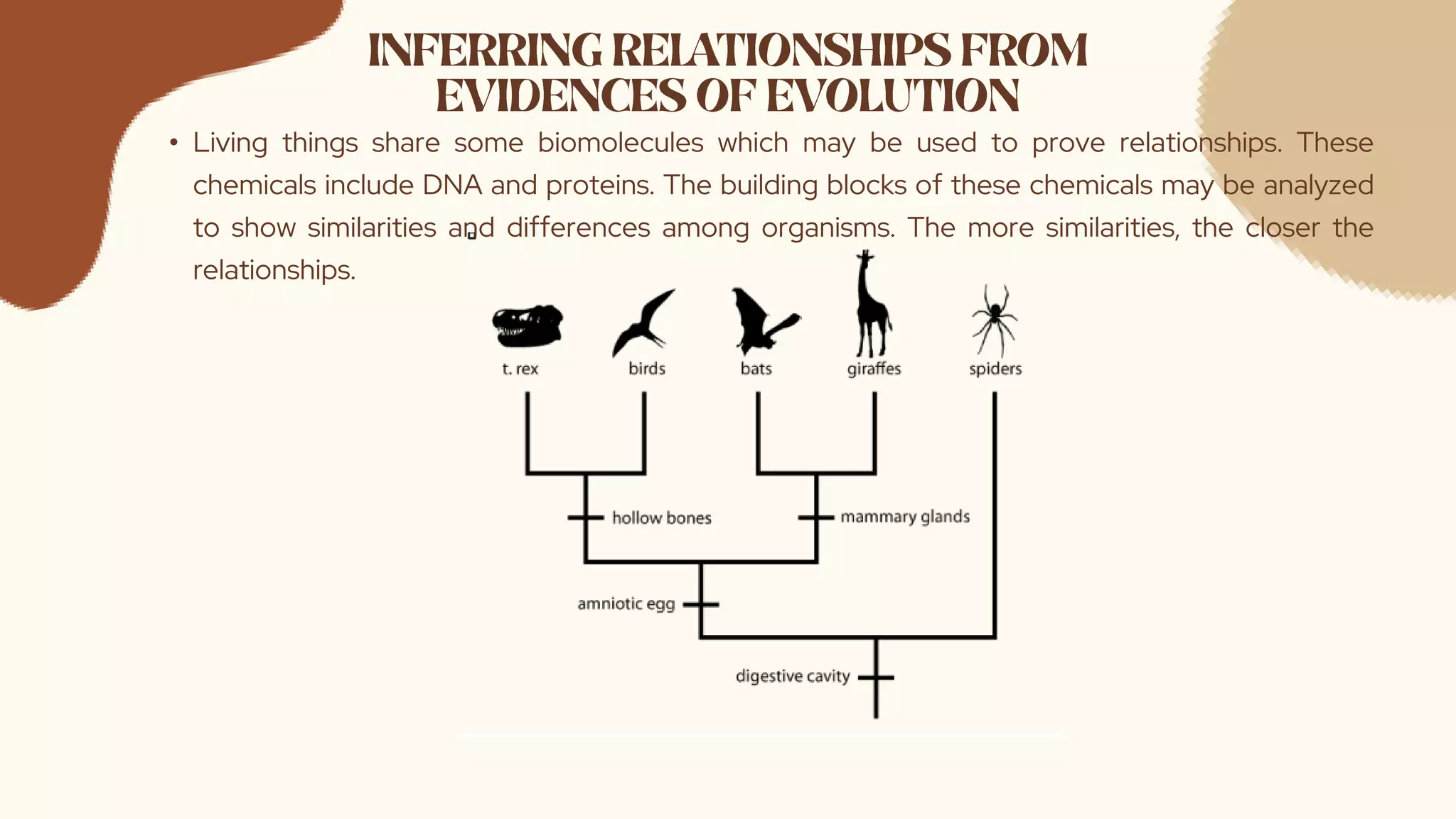 Evolutionary-Relationships-of-Organism-2.pptx