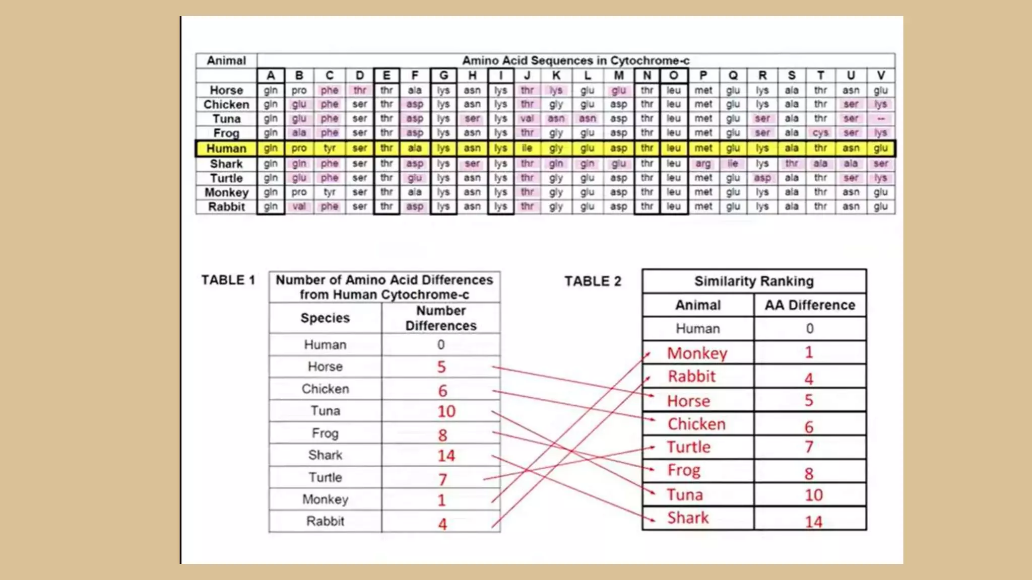 Evolutionary-Relationships-of-Organism-2.pptx