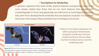 Evolutionary-Relationships-of-Organism-2.pptx