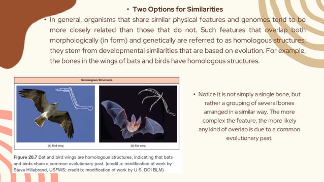 Evolutionary-Relationships-of-Organism-2.pptx