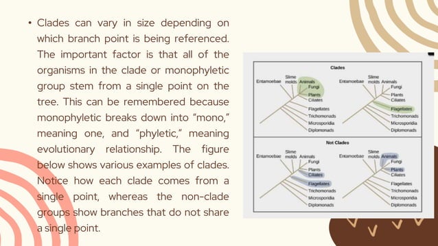 Evolutionary-Relationships-of-Organism-2.pptx