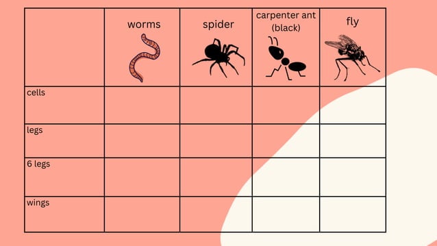Evolutionary-Relationships-of-Organism-2.pptx