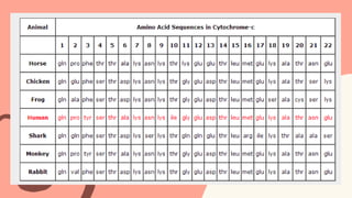 Evolutionary-Relationships-of-Organism-2.pptx