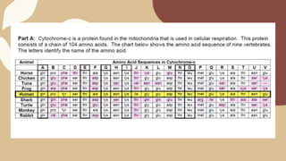 Evolutionary-Relationships-of-Organism-2.pptx