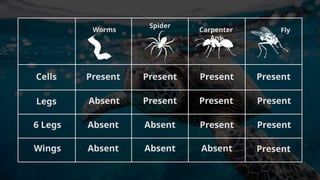 Understanding Evolutionary Relationships Through Molecular and ...