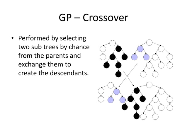 Evolutionary Algorithms | PPTX | Programming Languages | Computing