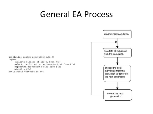 Evolutionary Algorithms | PPTX | Programming Languages | Computing