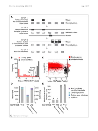 Evolutionary analysis across mammals reveals distinct classes of long ...
