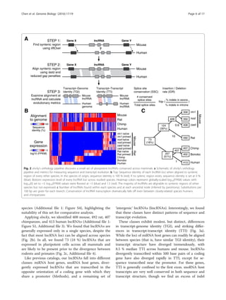 Evolutionary analysis across mammals reveals distinct classes of long ...