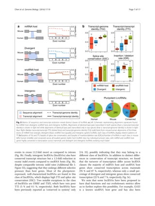 Evolutionary analysis across mammals reveals distinct classes of long ...