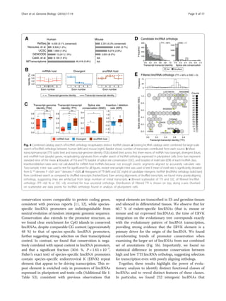 Evolutionary analysis across mammals reveals distinct classes of long ...