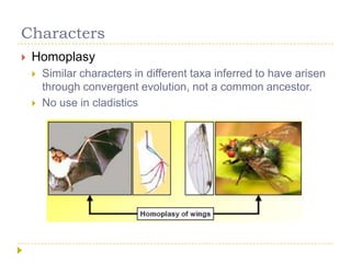 Evolutionary biology | PPTX