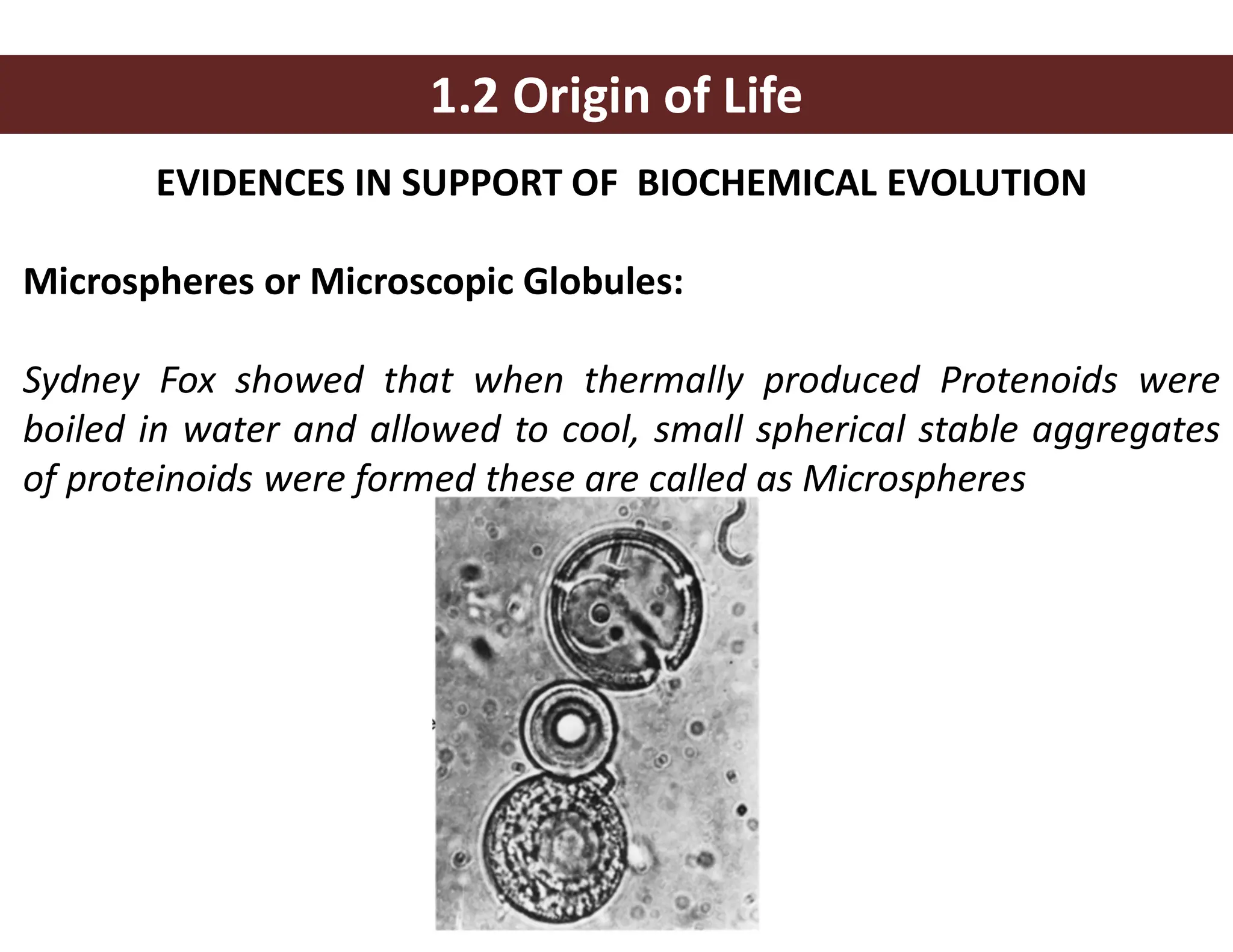 Evolutionary Biology: Based on CBCS (2019 Credit Pattern); Savitribai ...