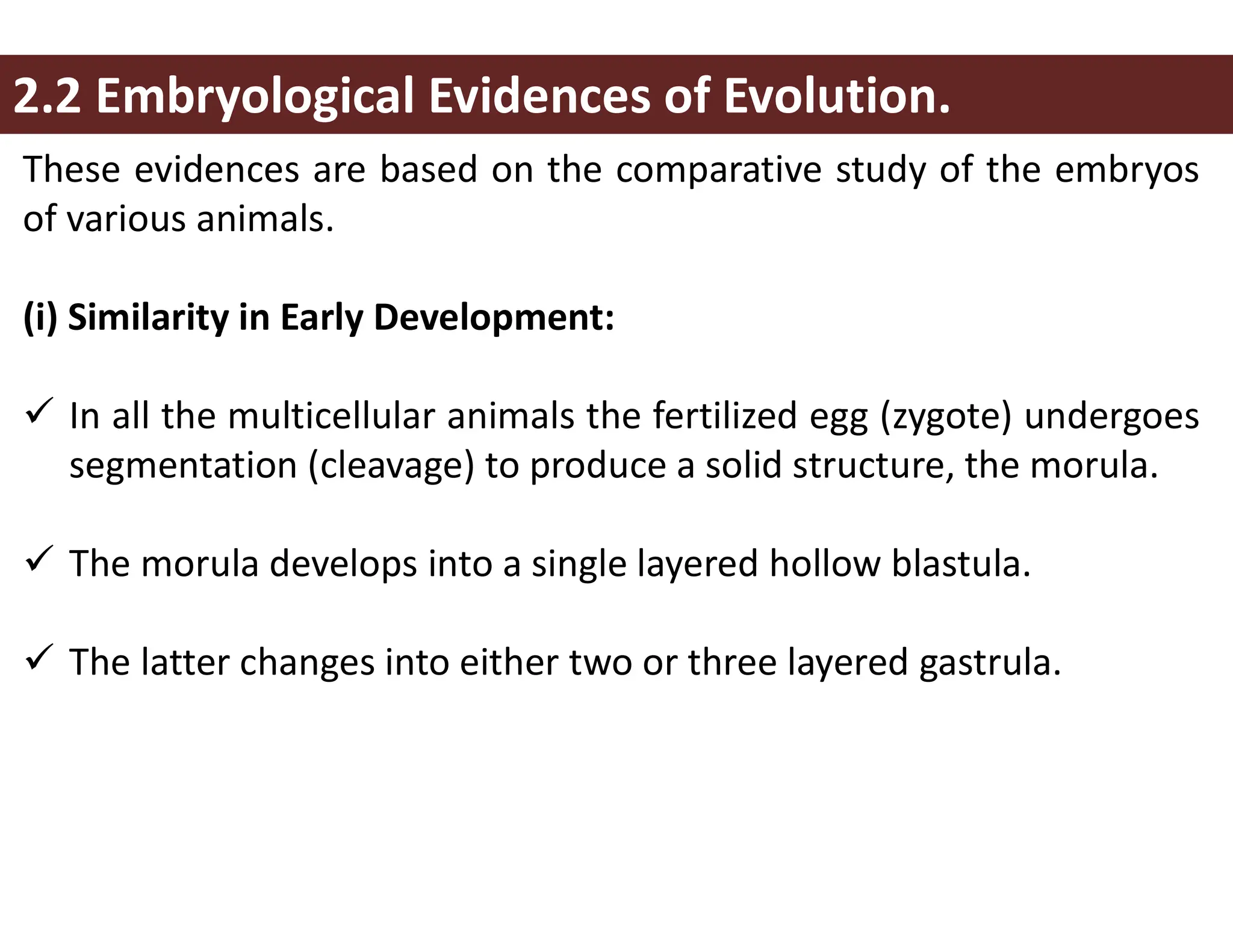 Evolutionary Biology: Based on CBCS (2019 Credit Pattern); Savitribai ...