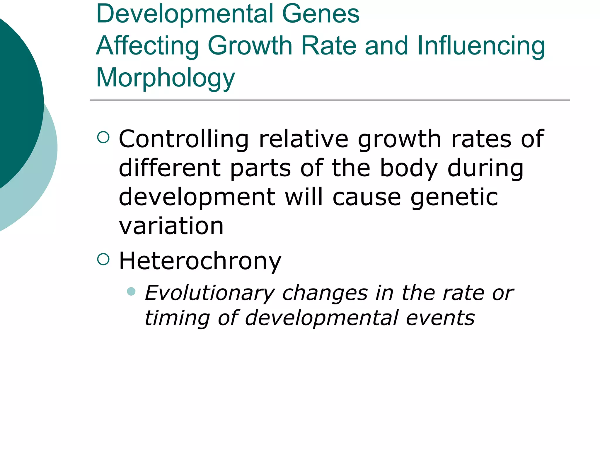 Evolutionary developmental biology | PPT