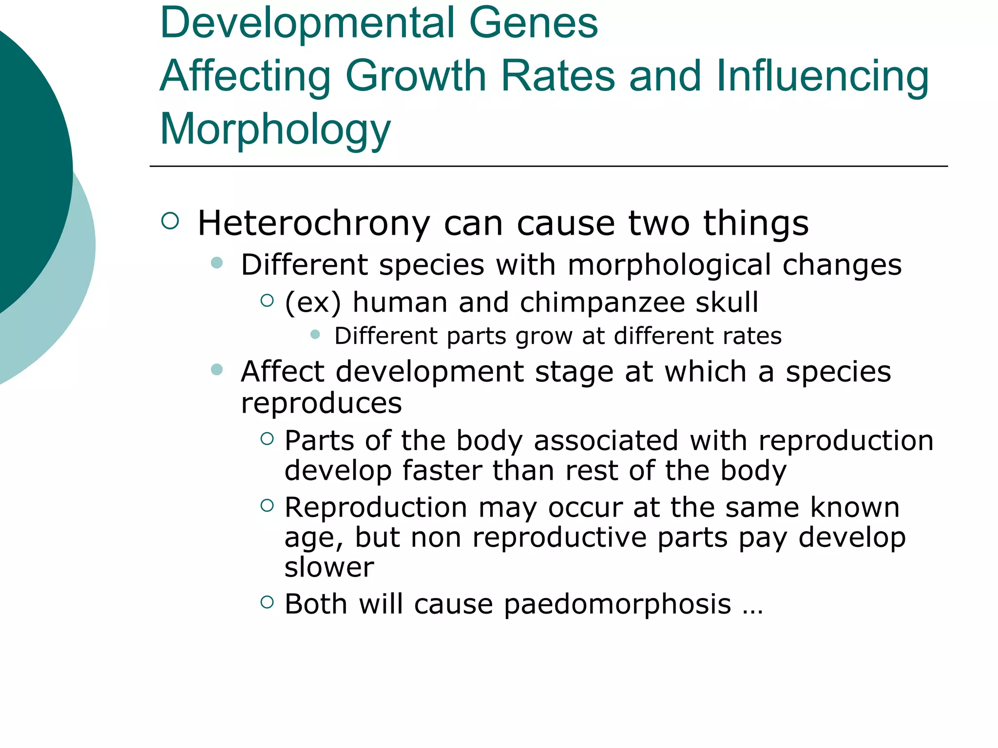 Evolutionary developmental biology | PPT