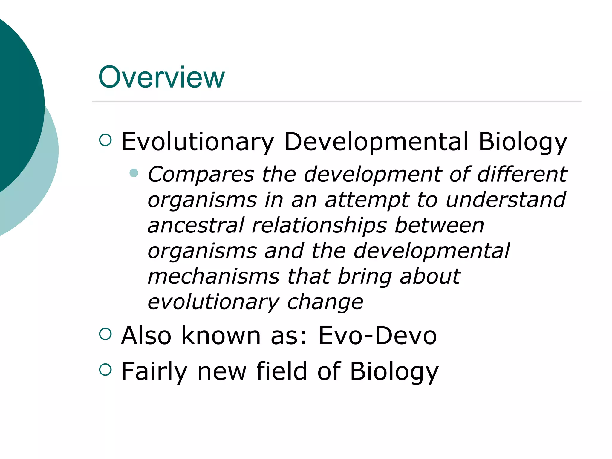 Evolutionary developmental biology | PPT