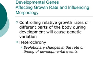Evolutionary developmental biology | PPT