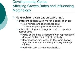 Evolutionary developmental biology | PPT