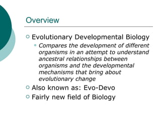 Evolutionary developmental biology | PPT