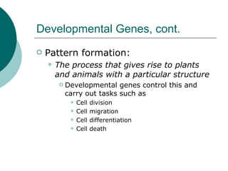 Evolutionary developmental biology | PPT
