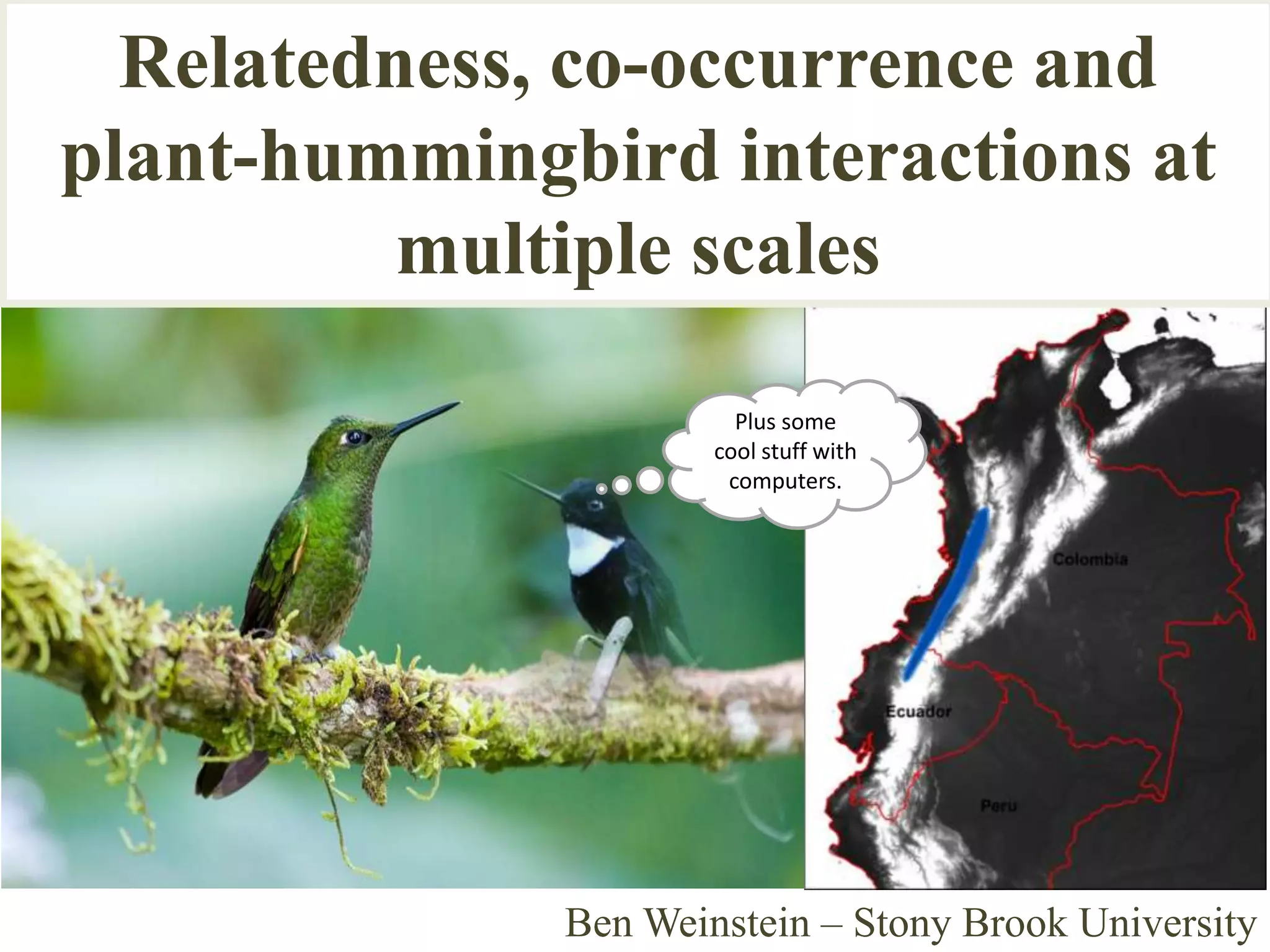 Evolutionary Ecology and Conservation of Andean Hummingbirds | PPTX