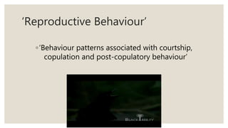 Evolutionary explanation | PPT