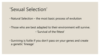 Evolutionary explanation | PPT