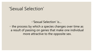 Evolutionary explanation | PPT