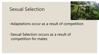 Evolutionary explanation | PPT