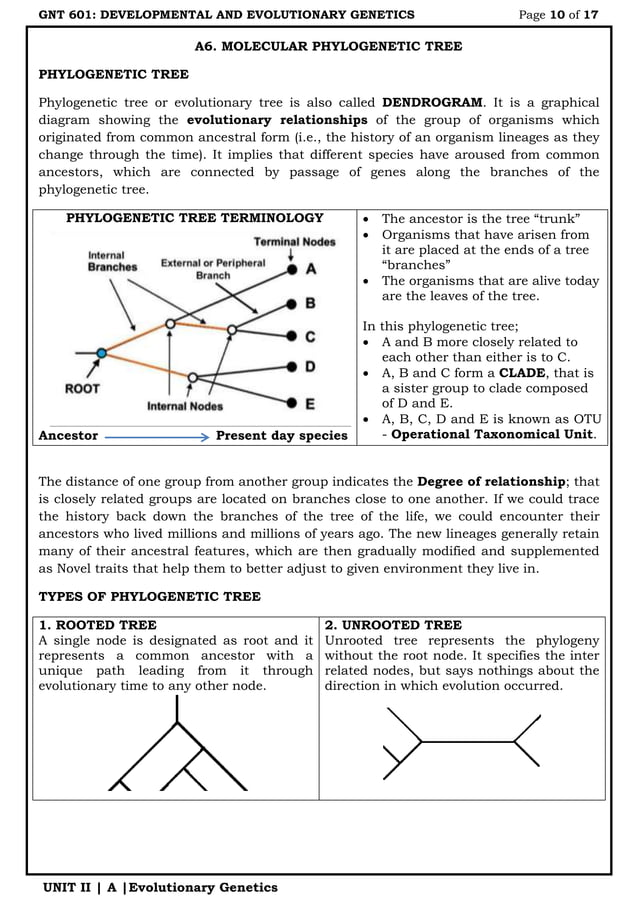Evolutionary genetics - Theories, | PDF | Genetics | Science