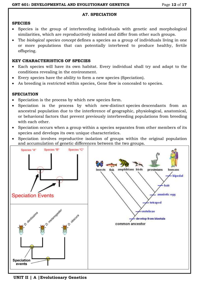 Evolutionary genetics - Theories, | PDF | Genetics | Science