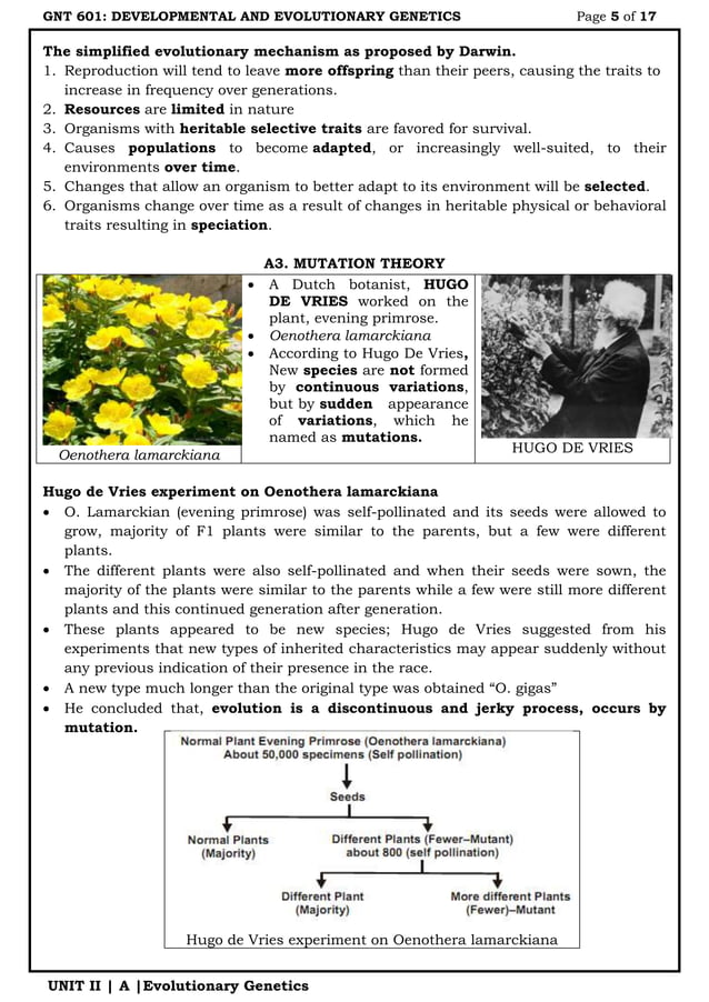 Evolutionary genetics - Theories, | PDF | Genetics | Science