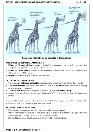 Theory Of Evolution Animals