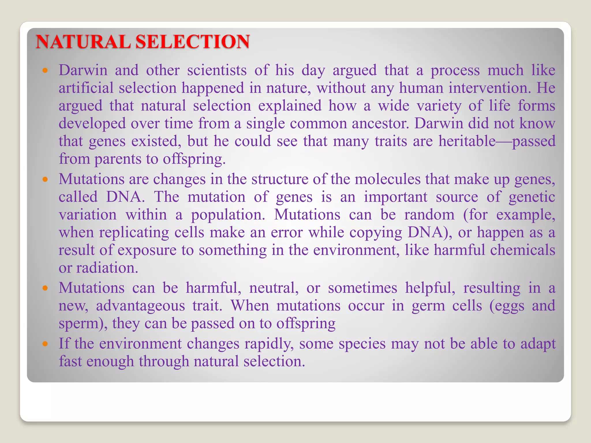 Evolutionary Genetics | PDF