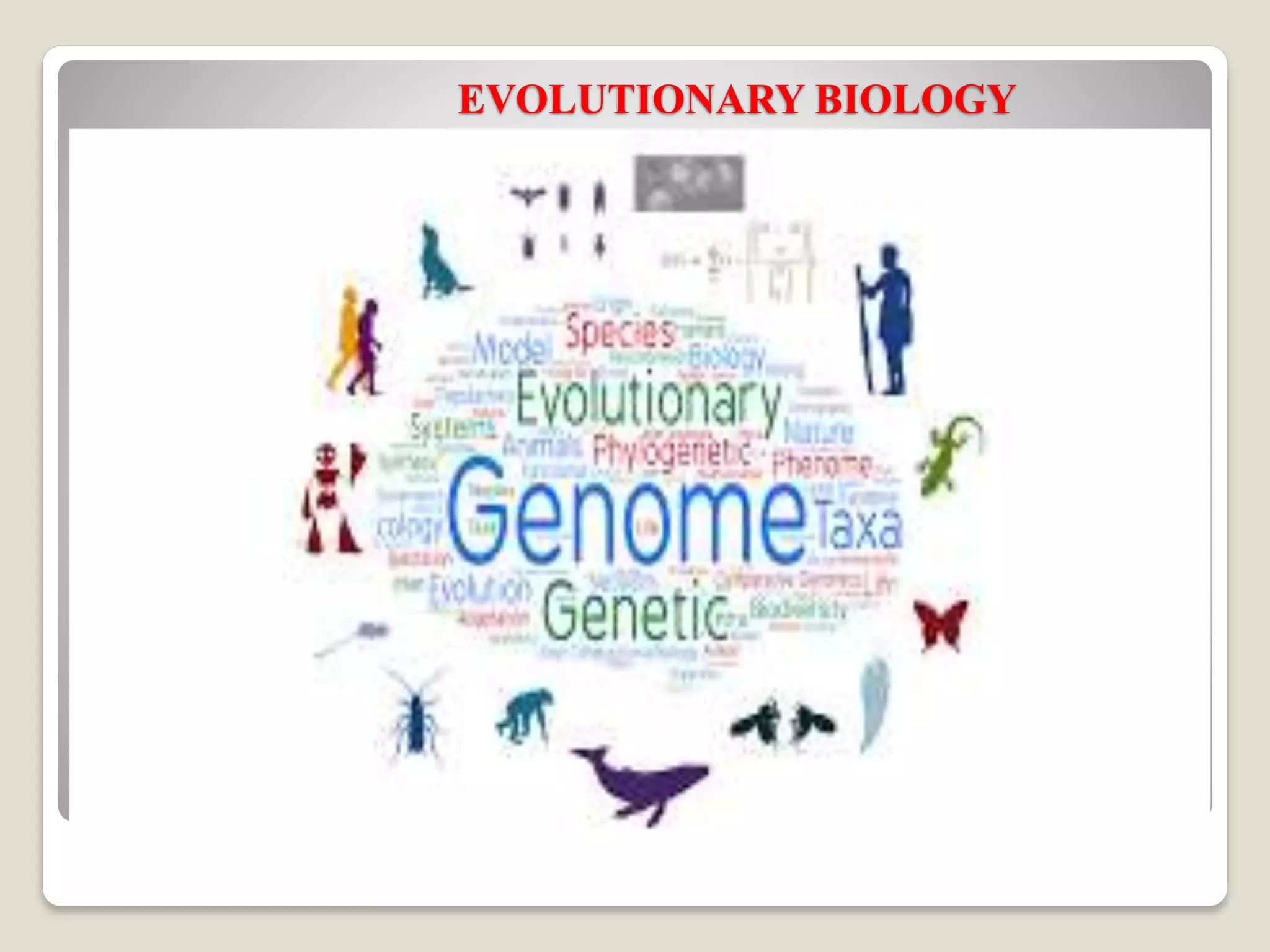 Evolutionary Genetics | PDF