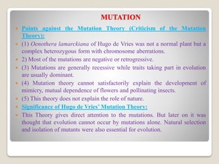 Evolutionary Genetics | PDF