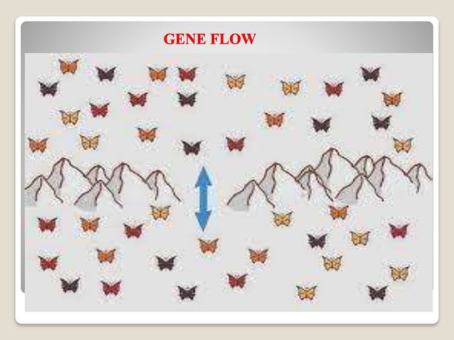 Evolutionary Genetics | PDF | Genetics | Science