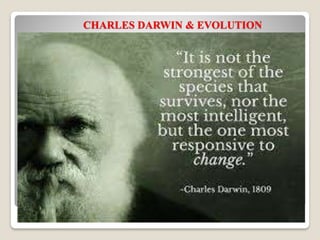 Evolutionary Genetics | PDF