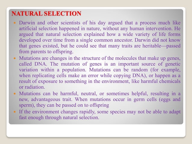 Evolutionary Genetics | PDF | Genetics | Science