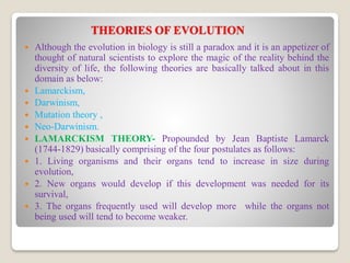 Evolutionary Genetics | PDF